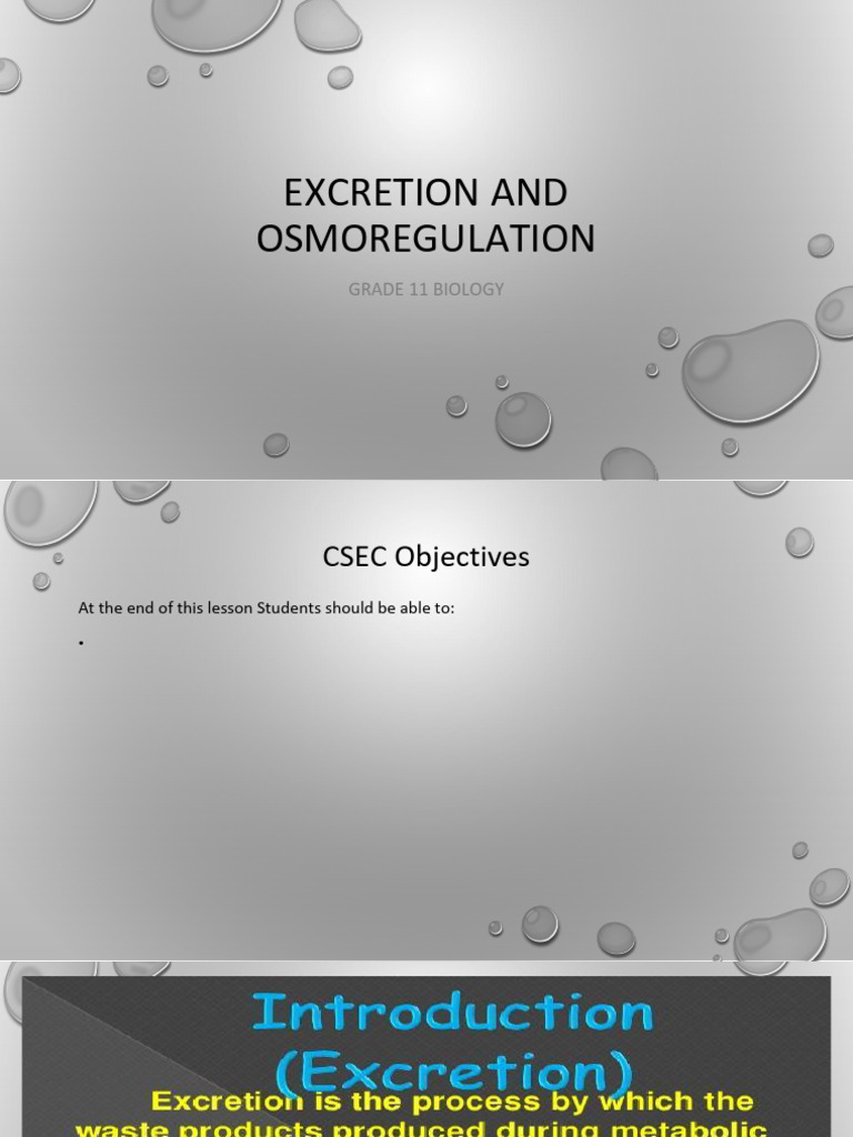 Excretion and Osmoregulation PDF | PDF | Kidney | Physiology