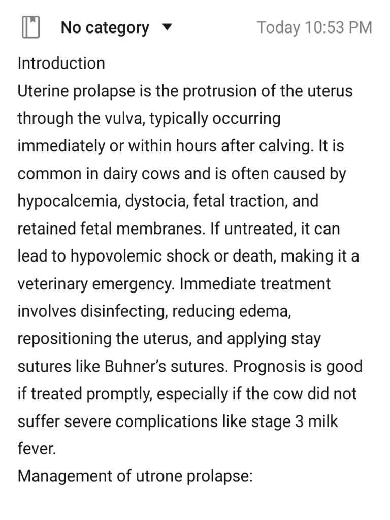 Uterine Prolapse Management in Cows | PDF