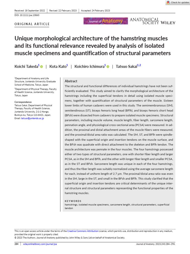 Anatomia Isquiotibiais | PDF | Skeletal Muscle | Limbs (Anatomy)