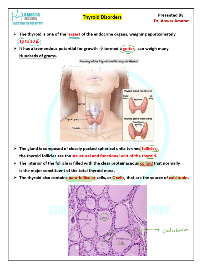 Thyroid Disorders Overview and Management | PDF | Thyroid | Thyroid Disease
