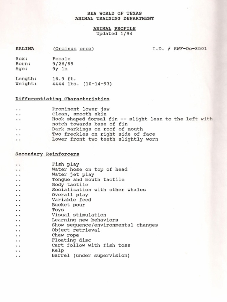SeaWorld Orca Profile - Killer Whale Kalina 1994 | PDF | Killer Whale ...