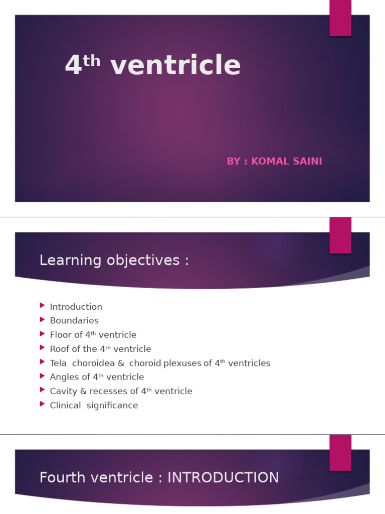 4th Ventricle | PDF