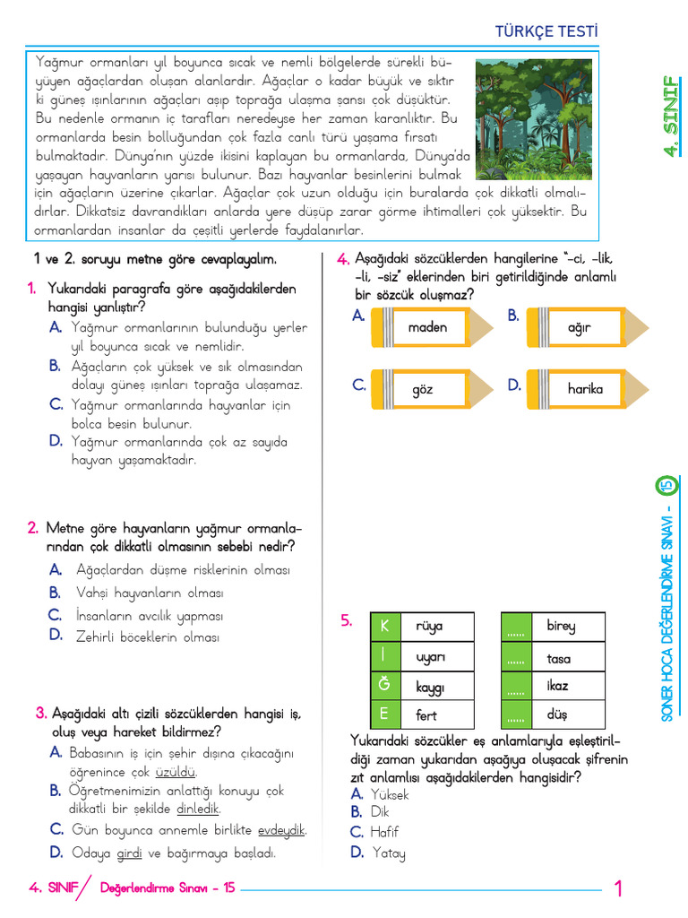Sinif 15. Deneme Sinavi | PDF