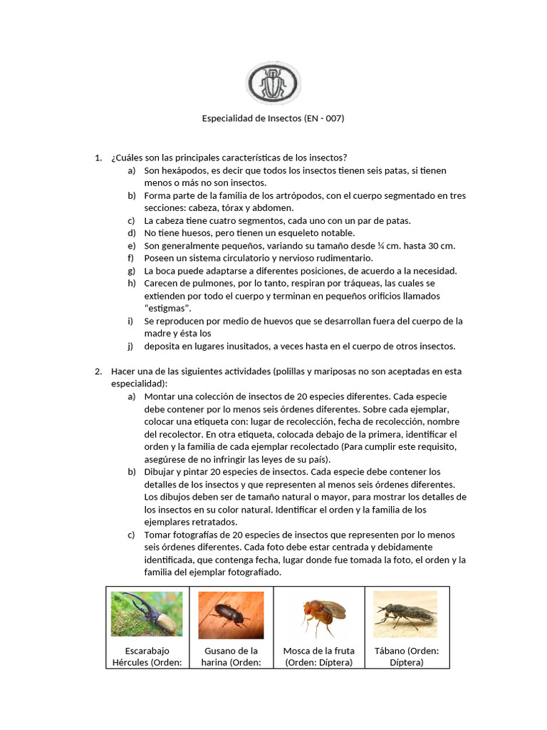 Especialidad en Insectos y Características | PDF | Insectos | Mosca