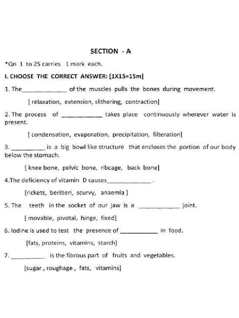 Class 6 Hindi | PDF