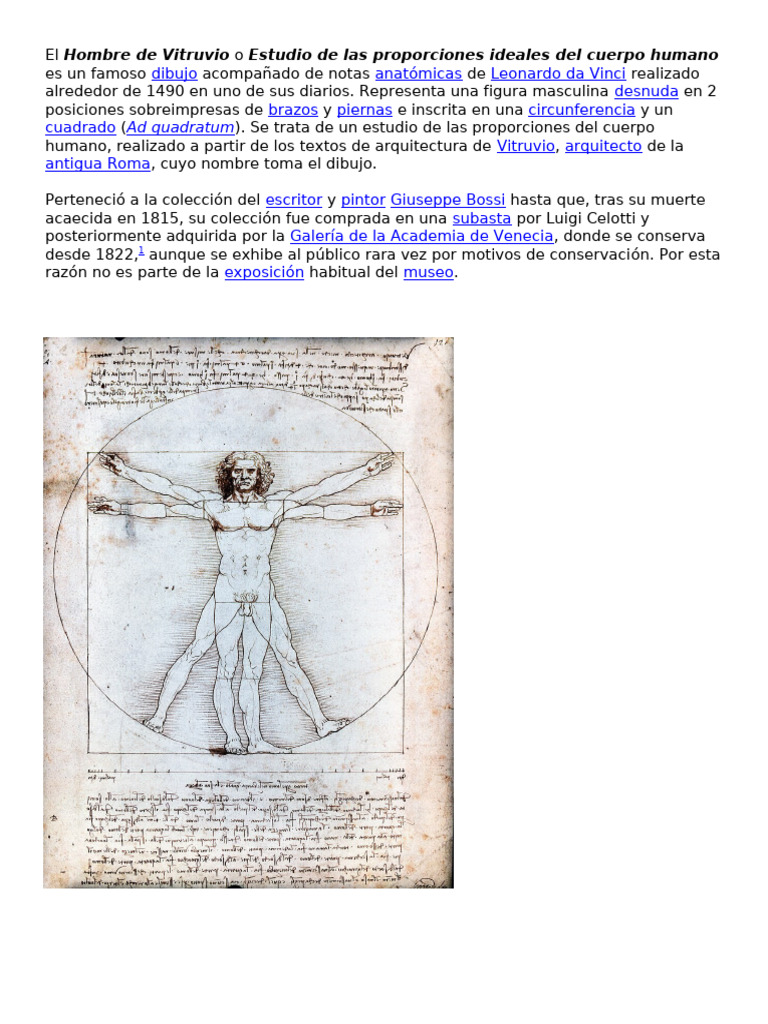 Ad Quadratum: Hombre de Vitruvio Estudio de Las Proporciones Ideales ...
