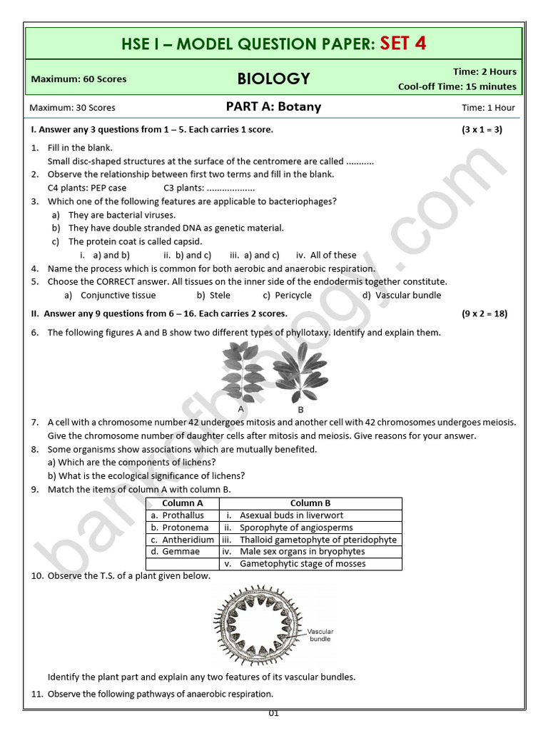 +1 Biology Model QPs For Practice With Answers 2025 - SET 4 | PDF ...