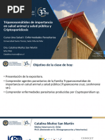Triatominos: Vectores de Chagas | PDF | Biología