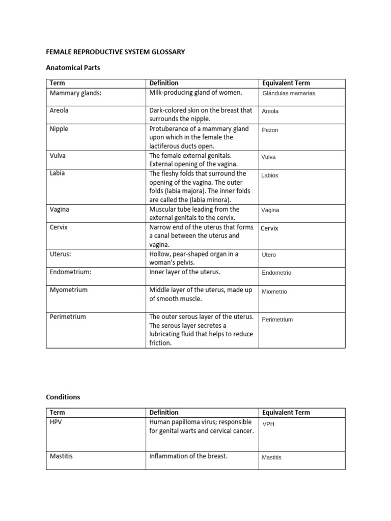 Female Reproductive System Glossary | PDF | Uterus | Vagina