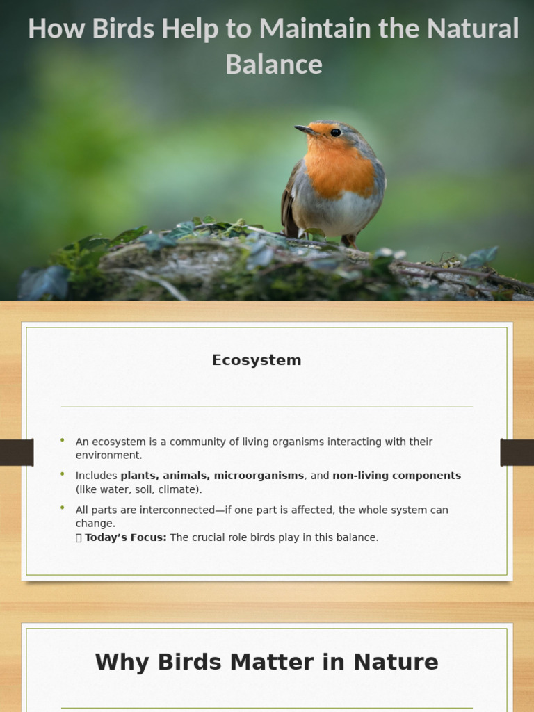 Birds' Role in Ecosystem Balance | PDF