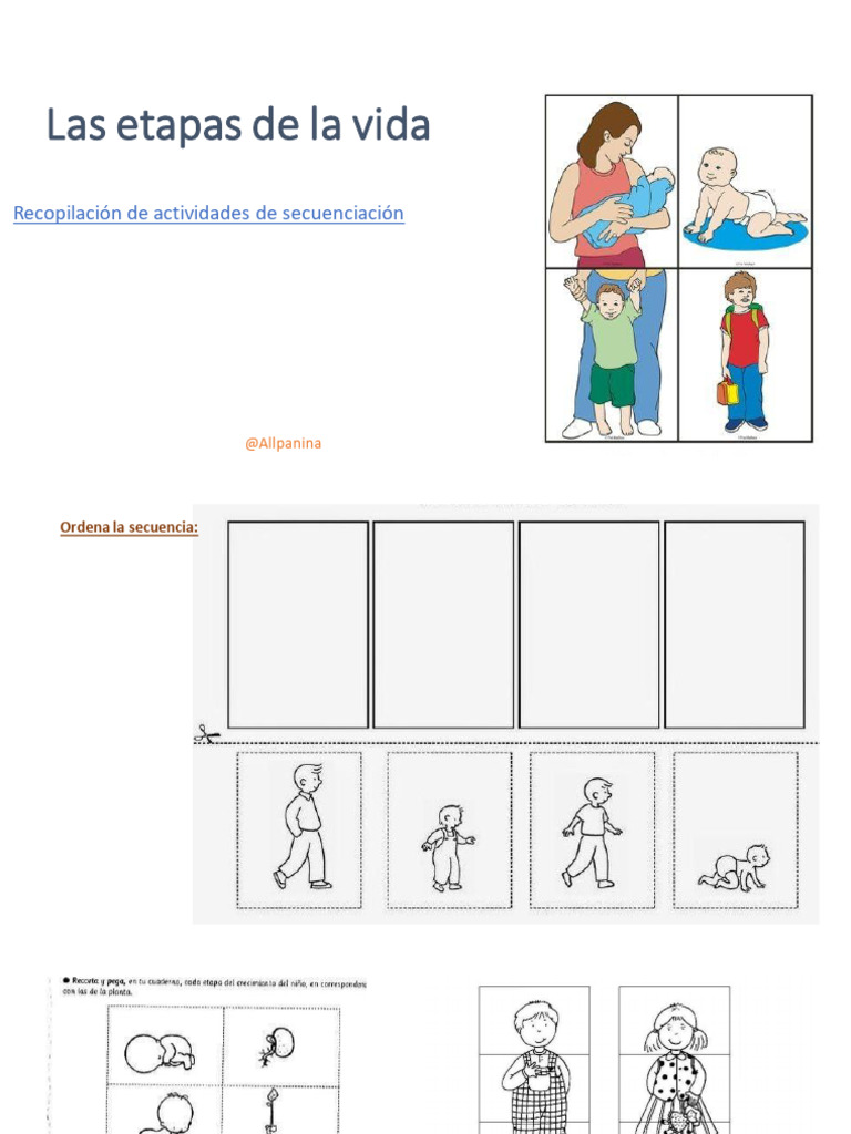 Etapas de la Vida: Actividades de Secuenciación | PDF