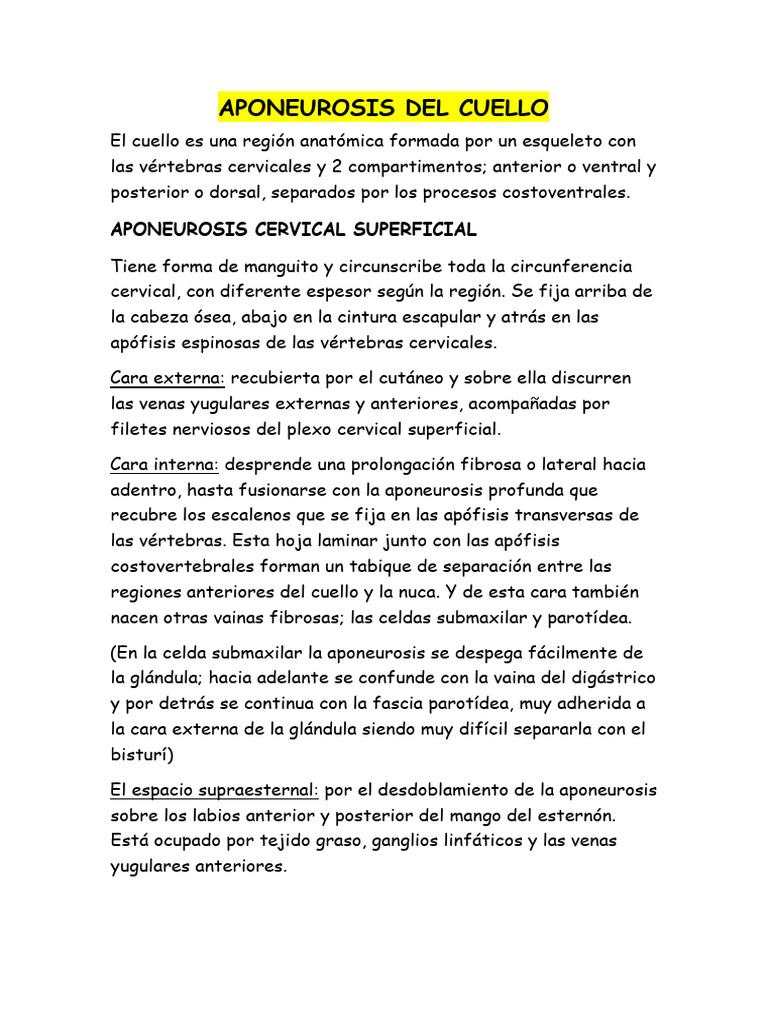 Aponeurosis Cervical Superficial | PDF | Anatomía humana | Sistema ...