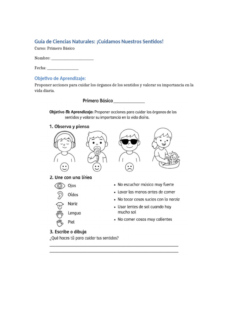 Guia Cuidado de Los Sentidos Primero Basico Con Imagenes | PDF