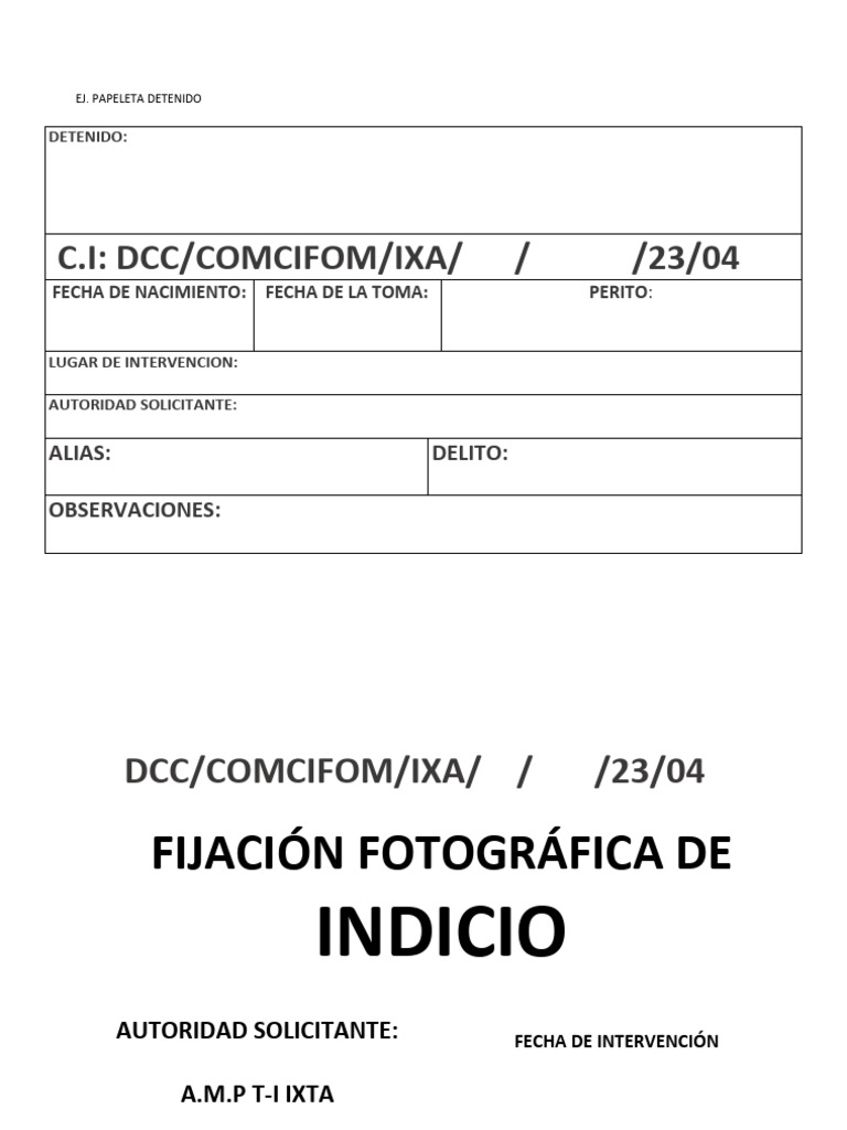 Papeletas Ejemplos | PDF