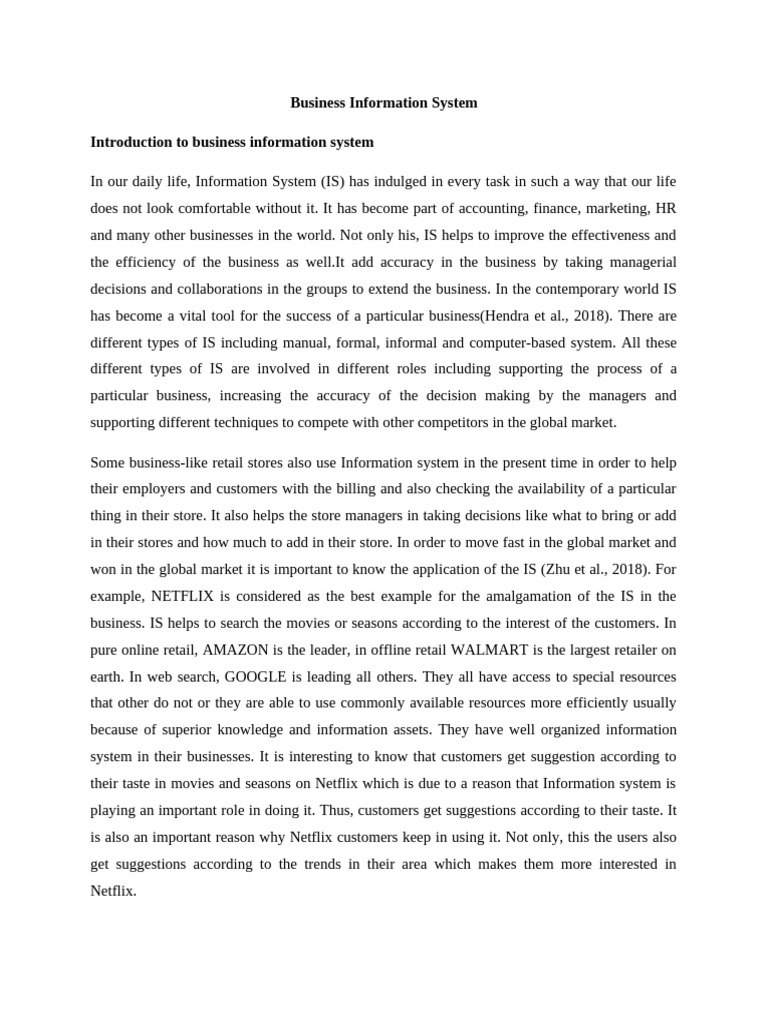 Business Information System | PDF | Computer Hardware | Databases