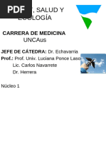 Modelo de Blum | PDF | Cuidado de la salud | Población