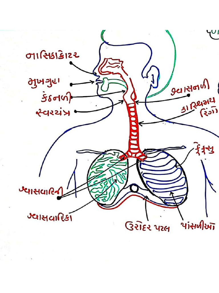 Std-10 Science All Akruti | PDF
