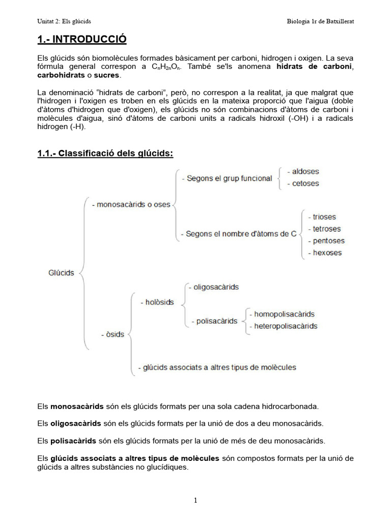 Dossier Teoria Unitat 2 - Glucids | PDF