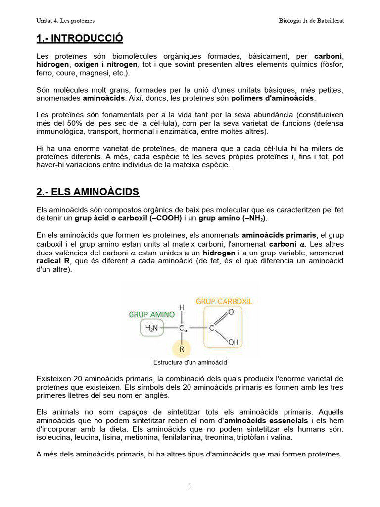 Dossier Teoria Unitat 4 - Proteïnes | PDF