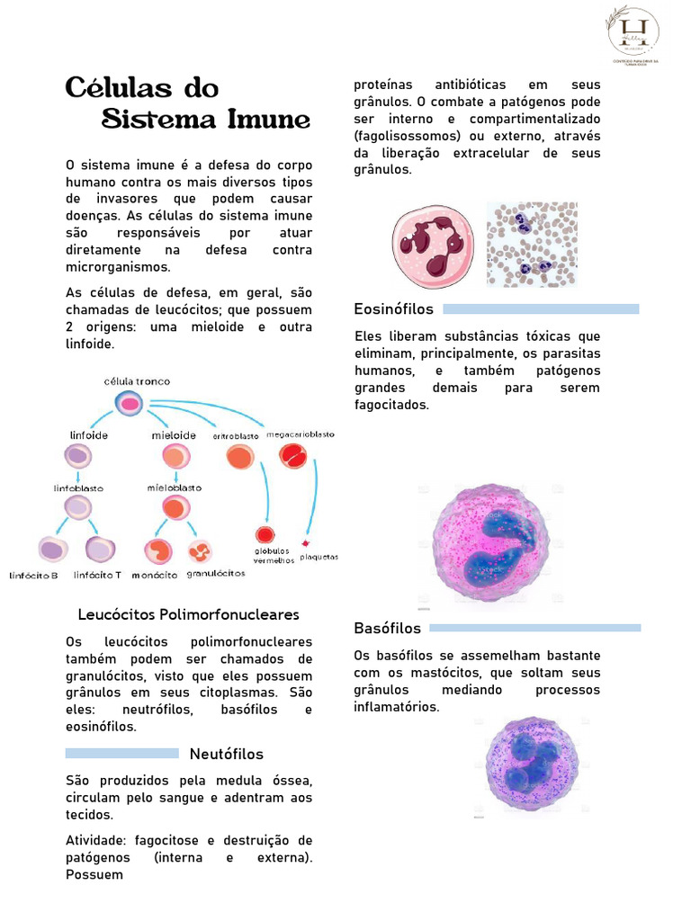 Células Do Sistema Imune | PDF | Sistema imunológico | Glóbulo branco