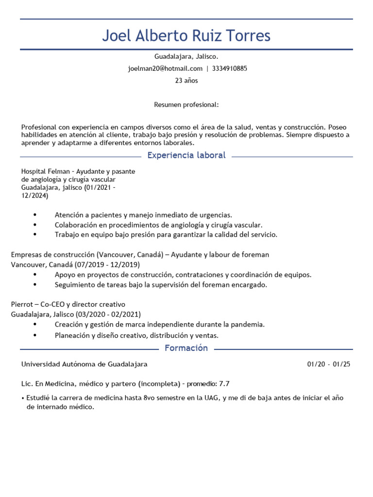 CV Ejemplo | PDF