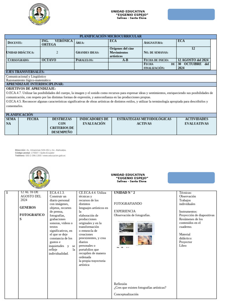Planificacion Eca 2T 8vo | PDF | Libros | Multimedia
