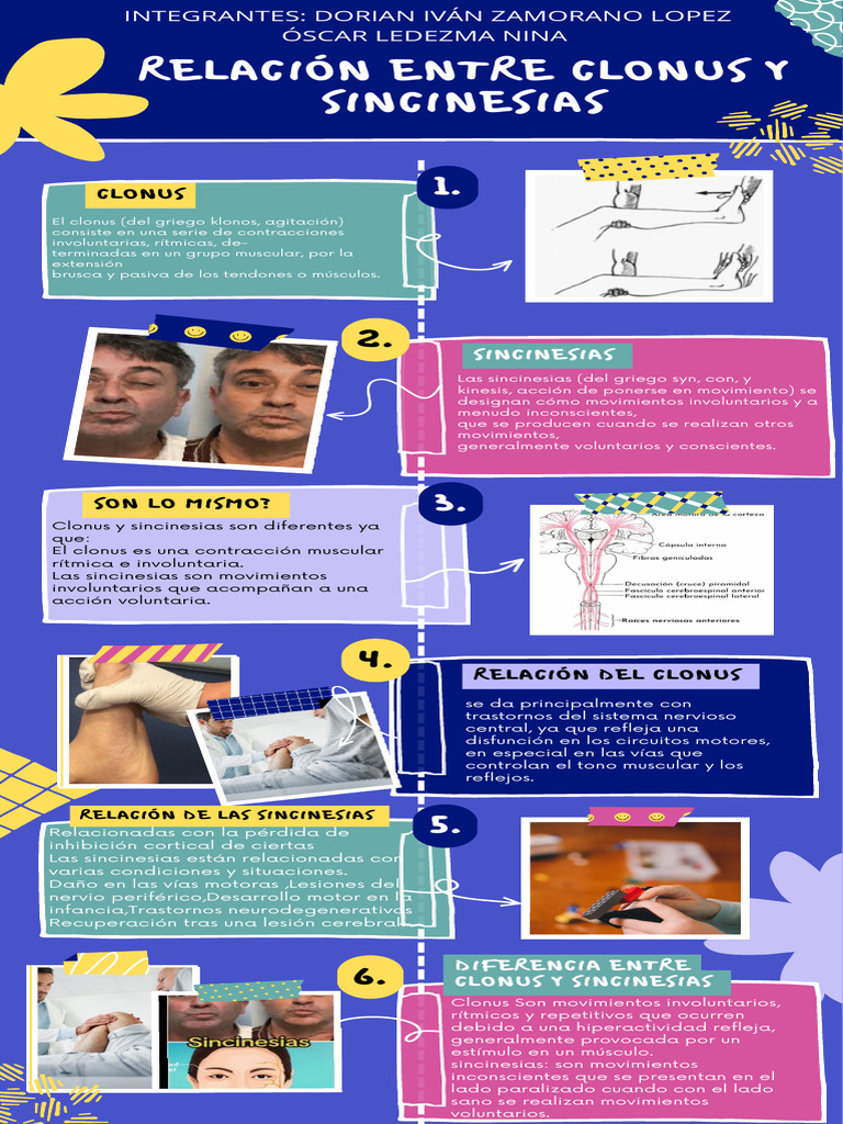 Clonus y Sincinesias: Definición y Diferencias | PDF | Neurología ...