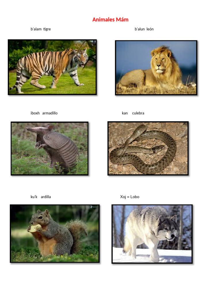 Lista de Animales en Español | PDF