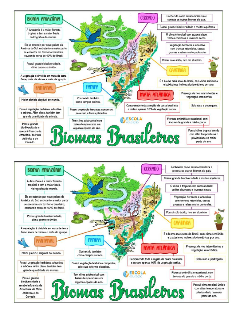 Biomas Brasileiros 1 | PDF