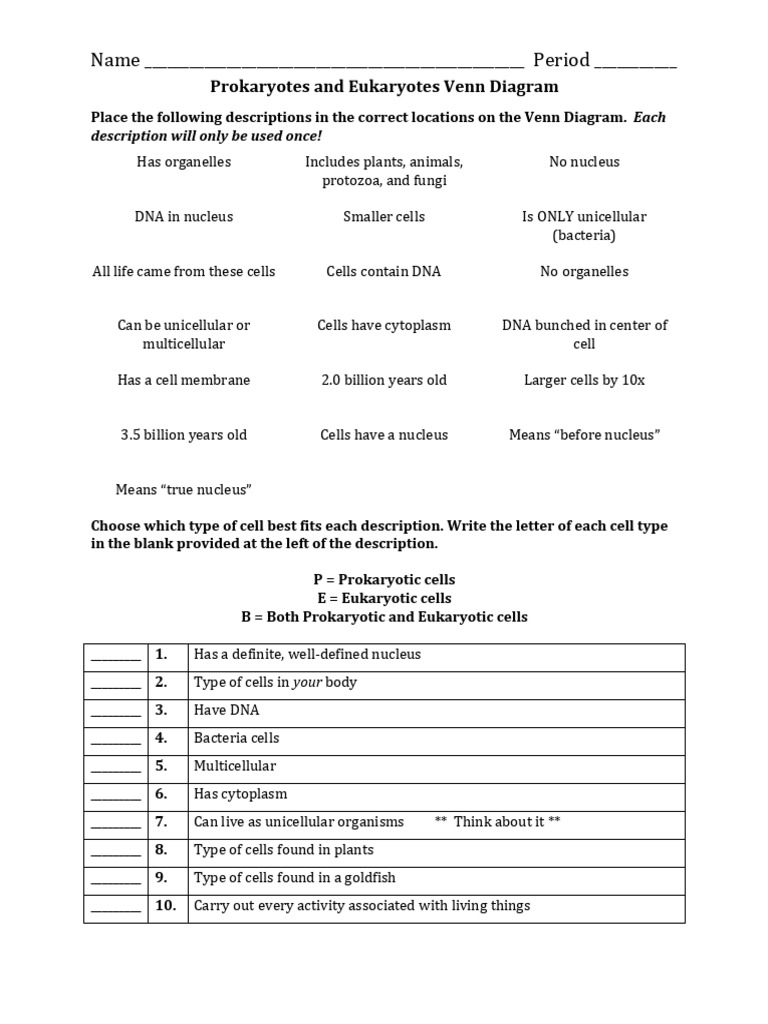 Prokaryotes and Eukaryotes Venn Diagram | PDF | Cell (Biology) | Eukaryotes
