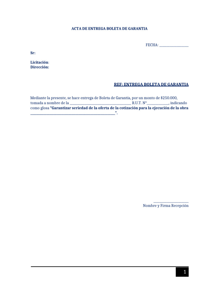 FORMATO ACTA Garantia Seriedad de La Oferta | PDF