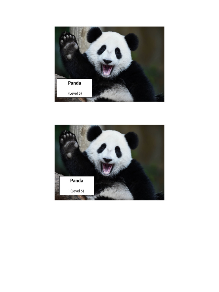 Panda (Level 5) | PDF