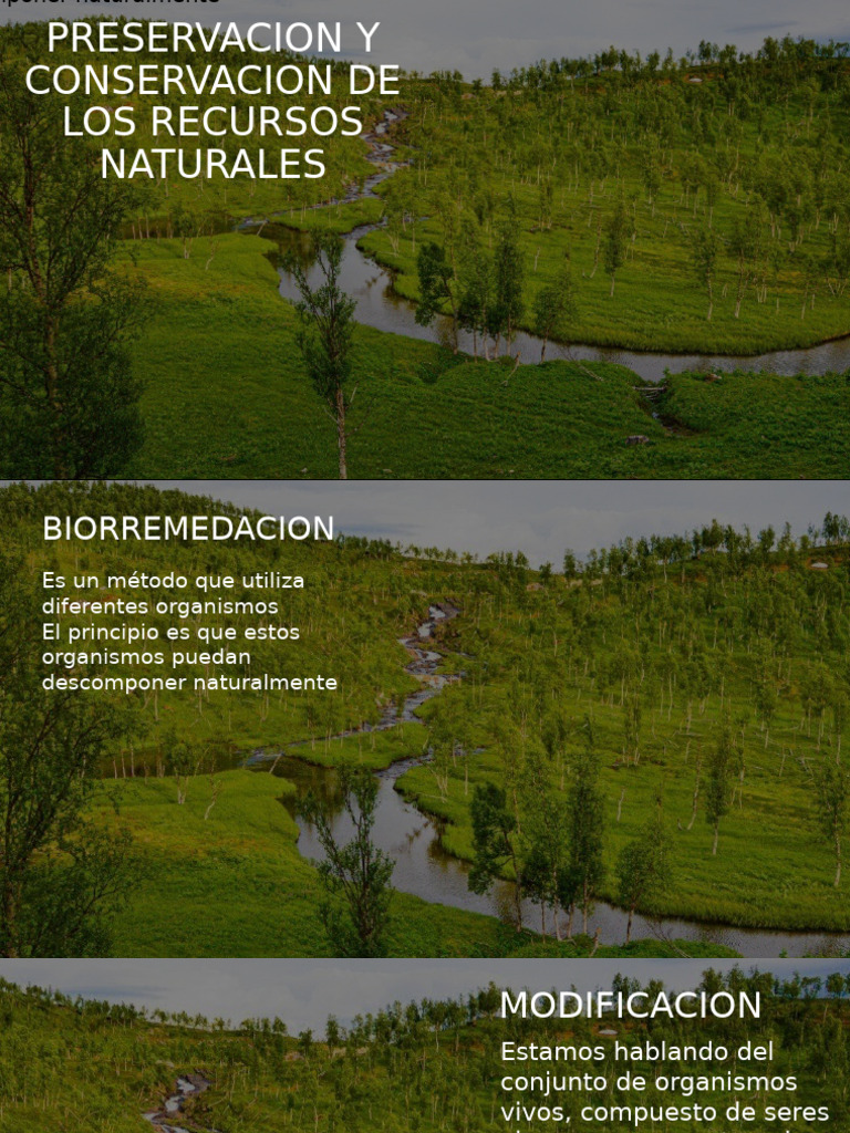 Conservación y Biorremediación Ambiental | PDF | Contaminación | Habitat