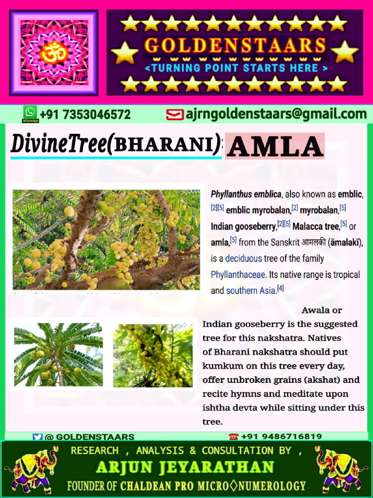 2 Bharani Amla | PDF