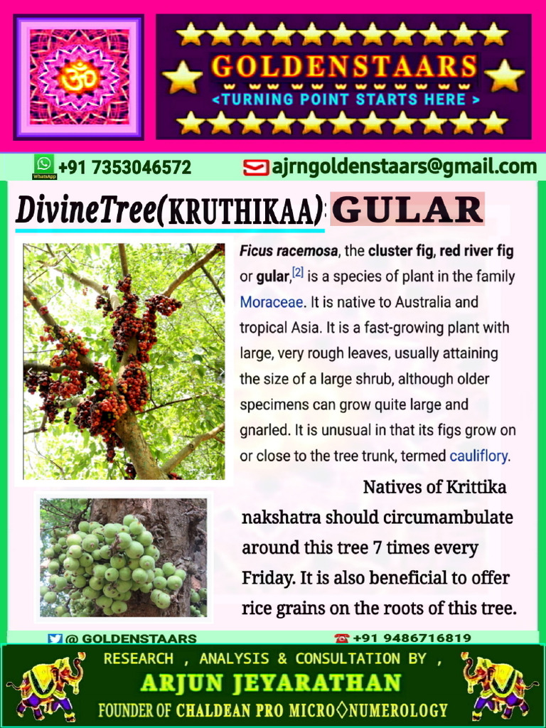 3 Krthikaa Gular Tree | PDF