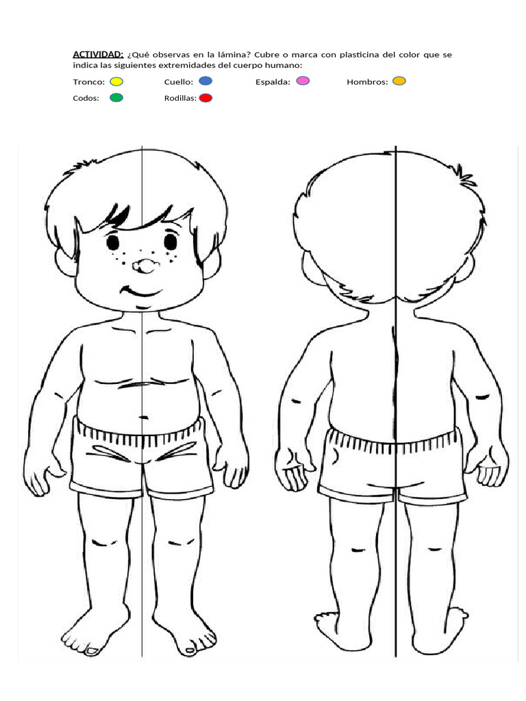 Actividades Unidad Temática Mi Cuerpo Y Sus Funciones Pdf