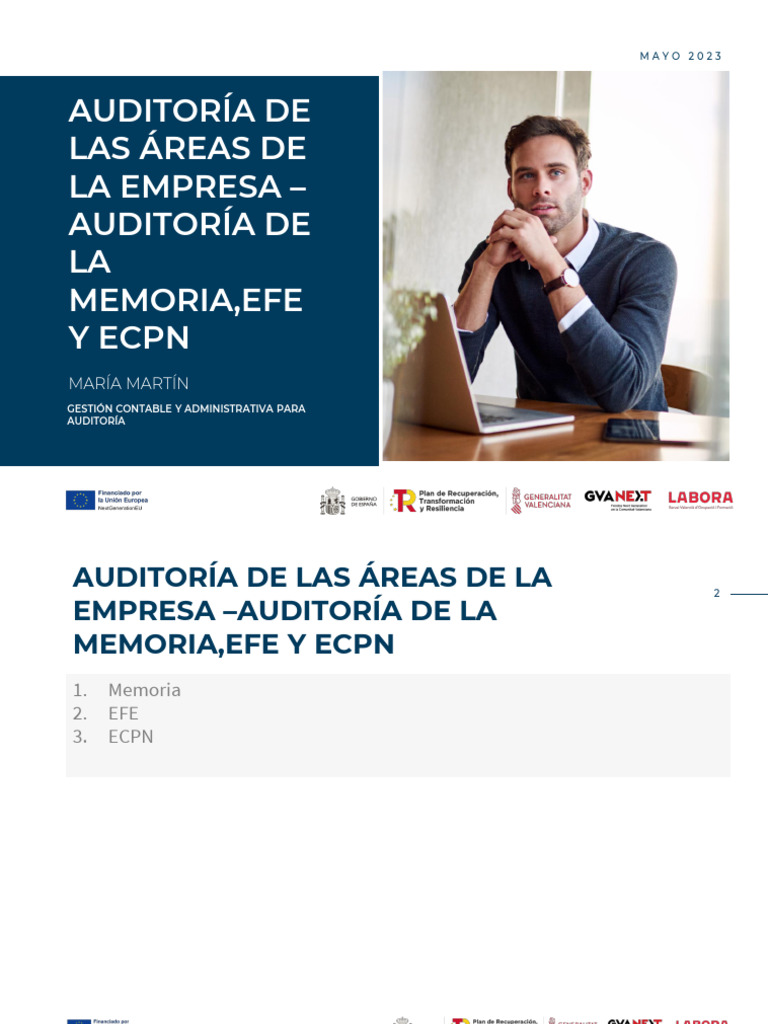 5-Tema 05 - (Auditoría de La Memoria, EFE y ECPN) | PDF | Valor neto | Contabilidad