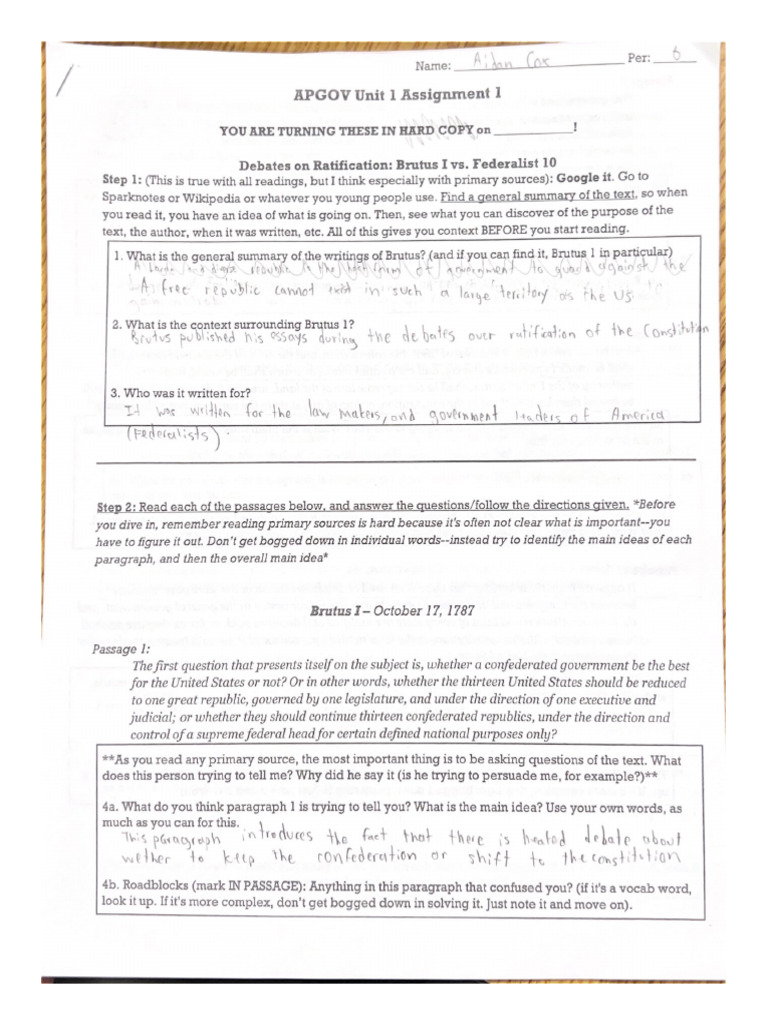 Brutus 1 Assignment | PDF