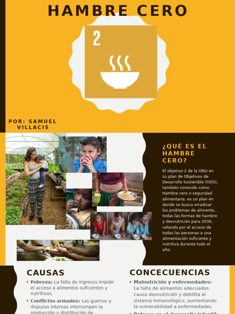 Objetivo Hambre Cero Causas Y Metas Pdf Desnutrición Alimentos
