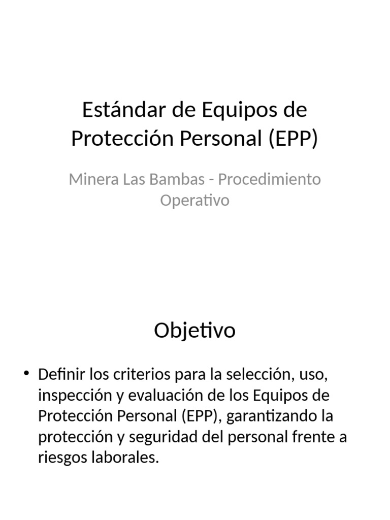 Estándar EPP Presentación Detallada | PDF