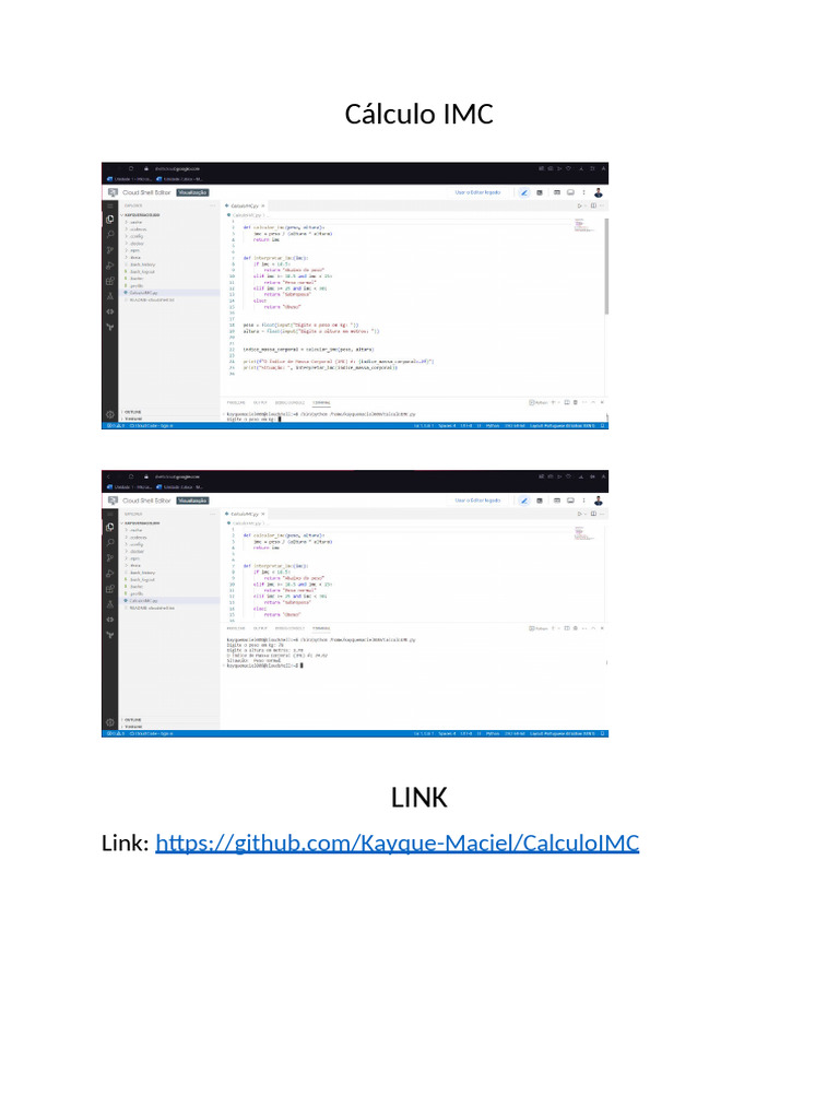 Calculadora IMC em Python no Cloud Shell | PDF