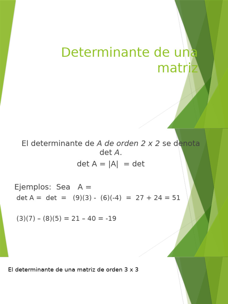 Propiedades y ejemplos del determinante | PDF | Matriz (Matemáticas ...