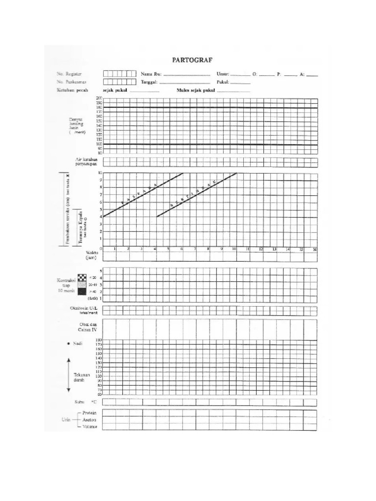 Lembar Partograf | PDF