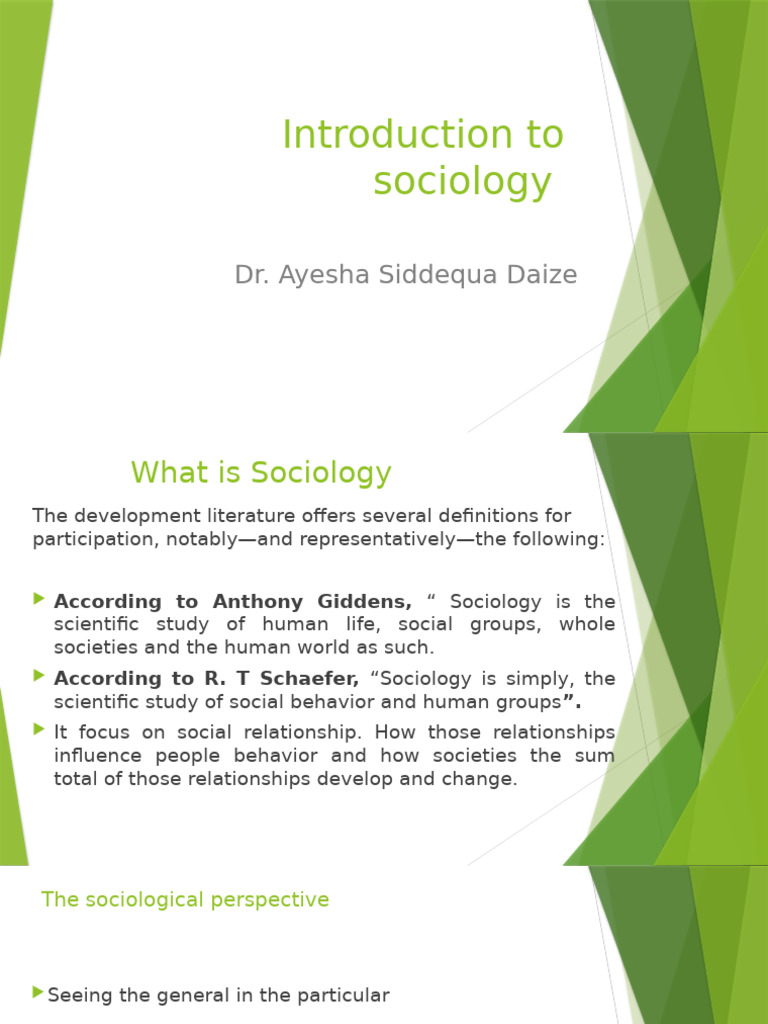 Introduction1 (Sociology) | PDF