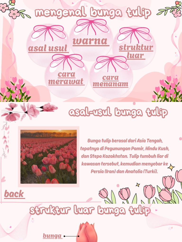 Bunga Tulip | PDF