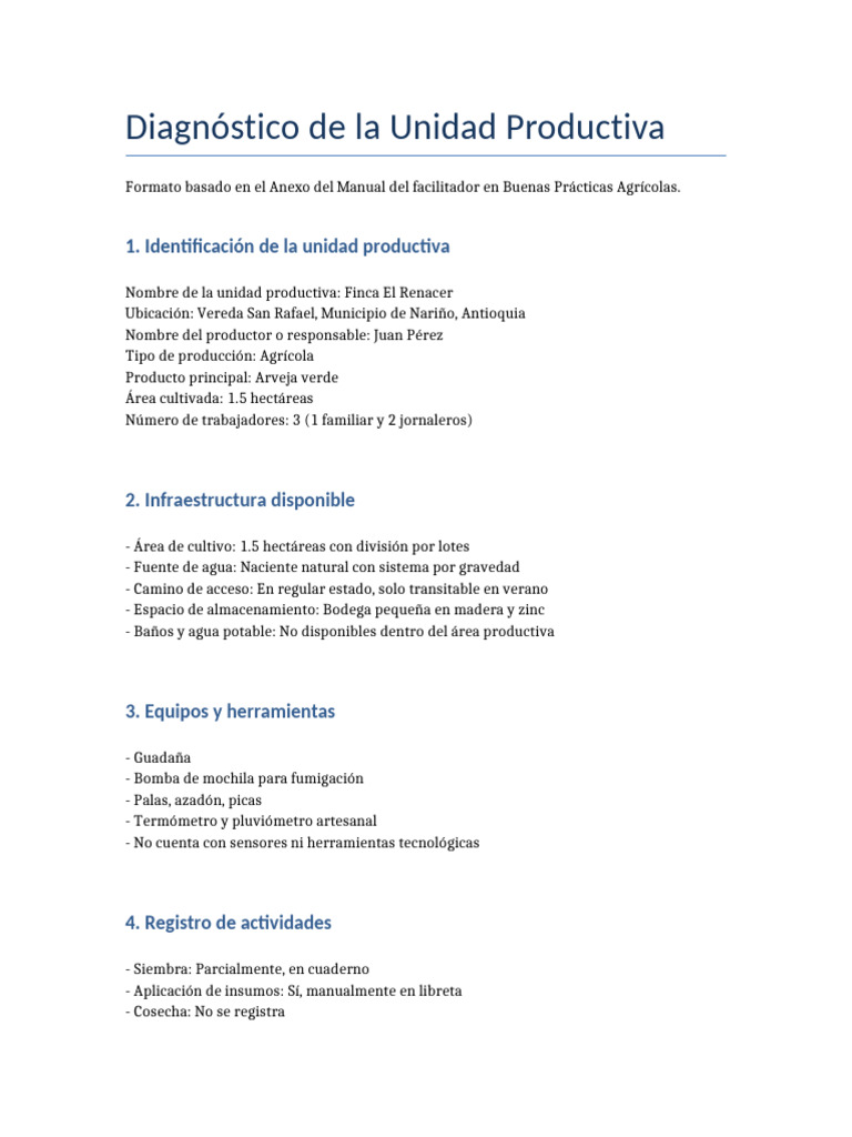 Formato Diagnostico Unidad Productiva Editable | PDF