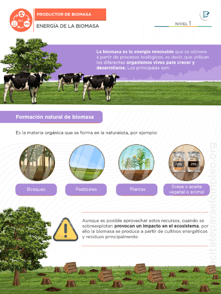 Energía de la biomasa | PDF
