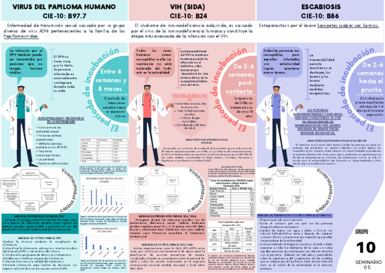 EPI ESP Grupo 10 Infografía Enfermedades transmitidas por contacto directo, VPH, SIDA Y ...
