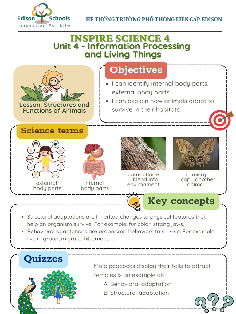G4-U4-L2 Structures and Functions of Animals | PDF