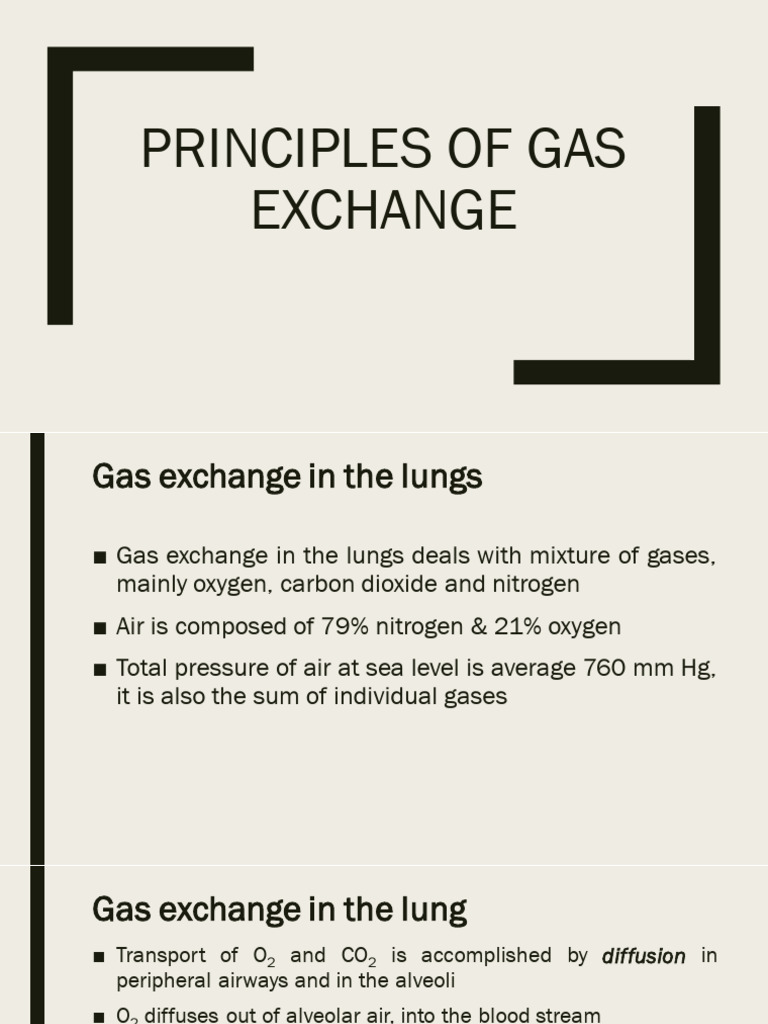 Principles of Gas Exchange | PDF | Respiratory Tract | Lung